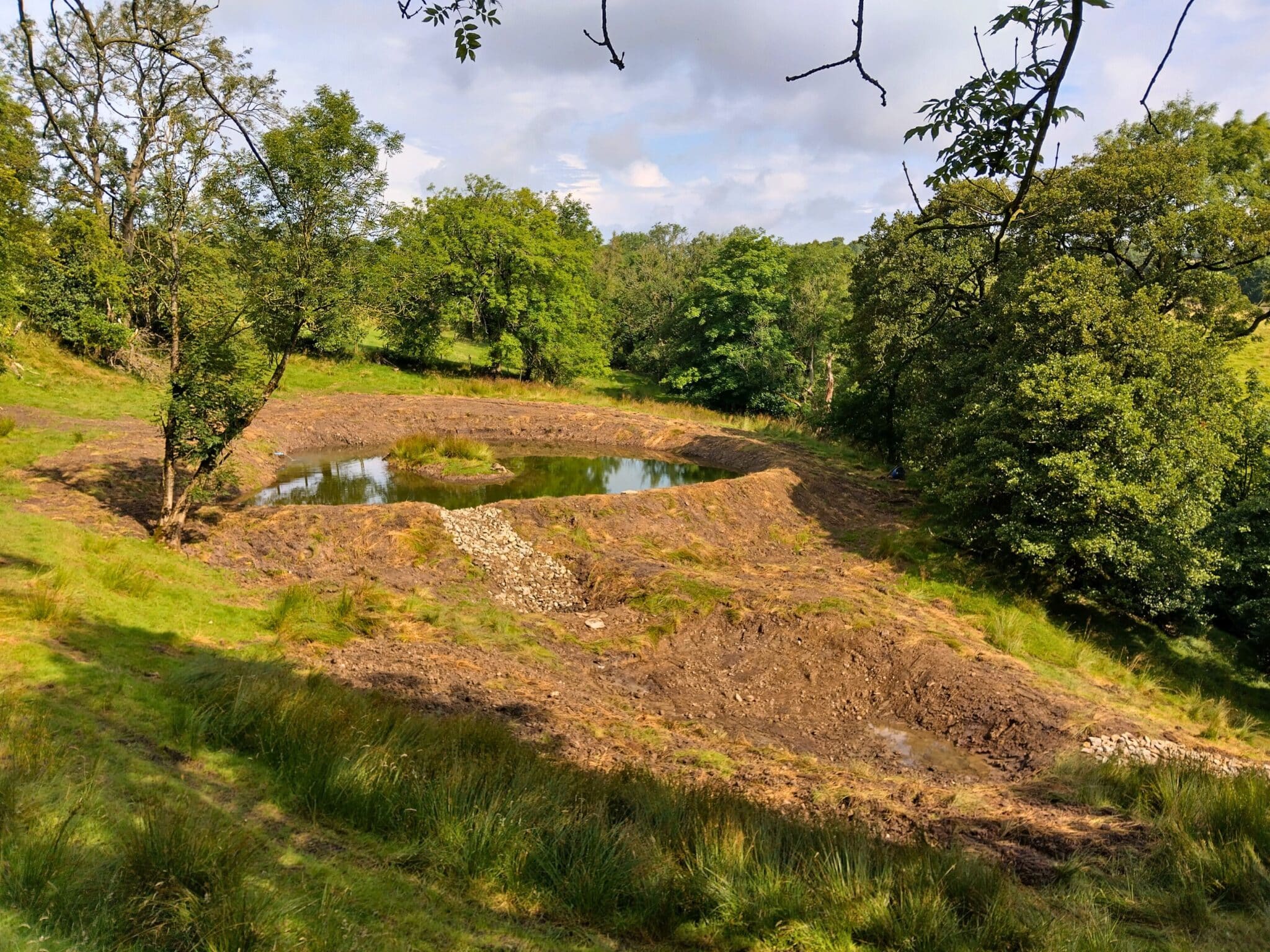 Holden Wetland: a thriving space for wildlife and water - Ribble Rivers ...