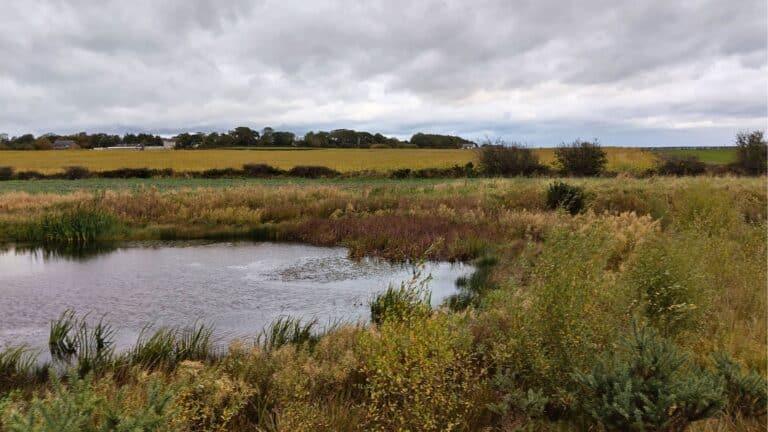 Ribble Rivers Trust - Working Together to Improve Our Rivers
