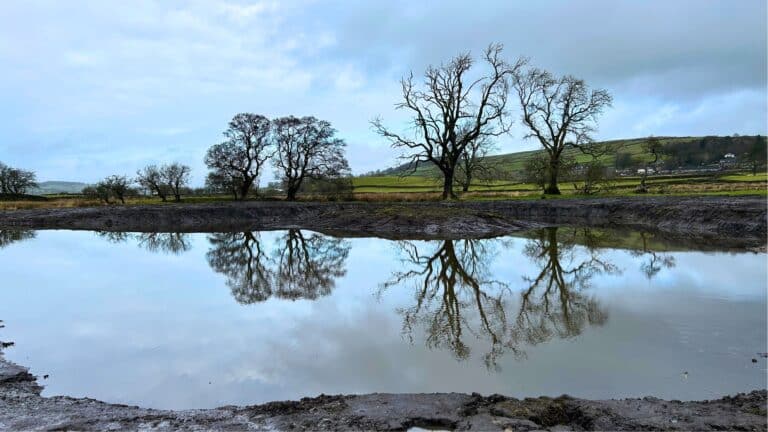 Ribble Rivers Trust - Working Together to Improve Our Rivers