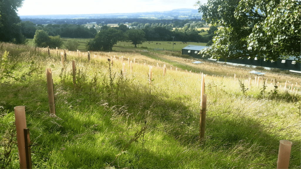 Ribble Rivers Trust - Working Together to Improve Our Rivers