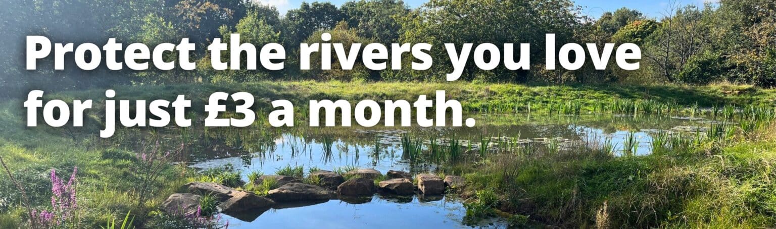 River Catchments: How They Work and Why They Matter - Ribble Rivers Trust