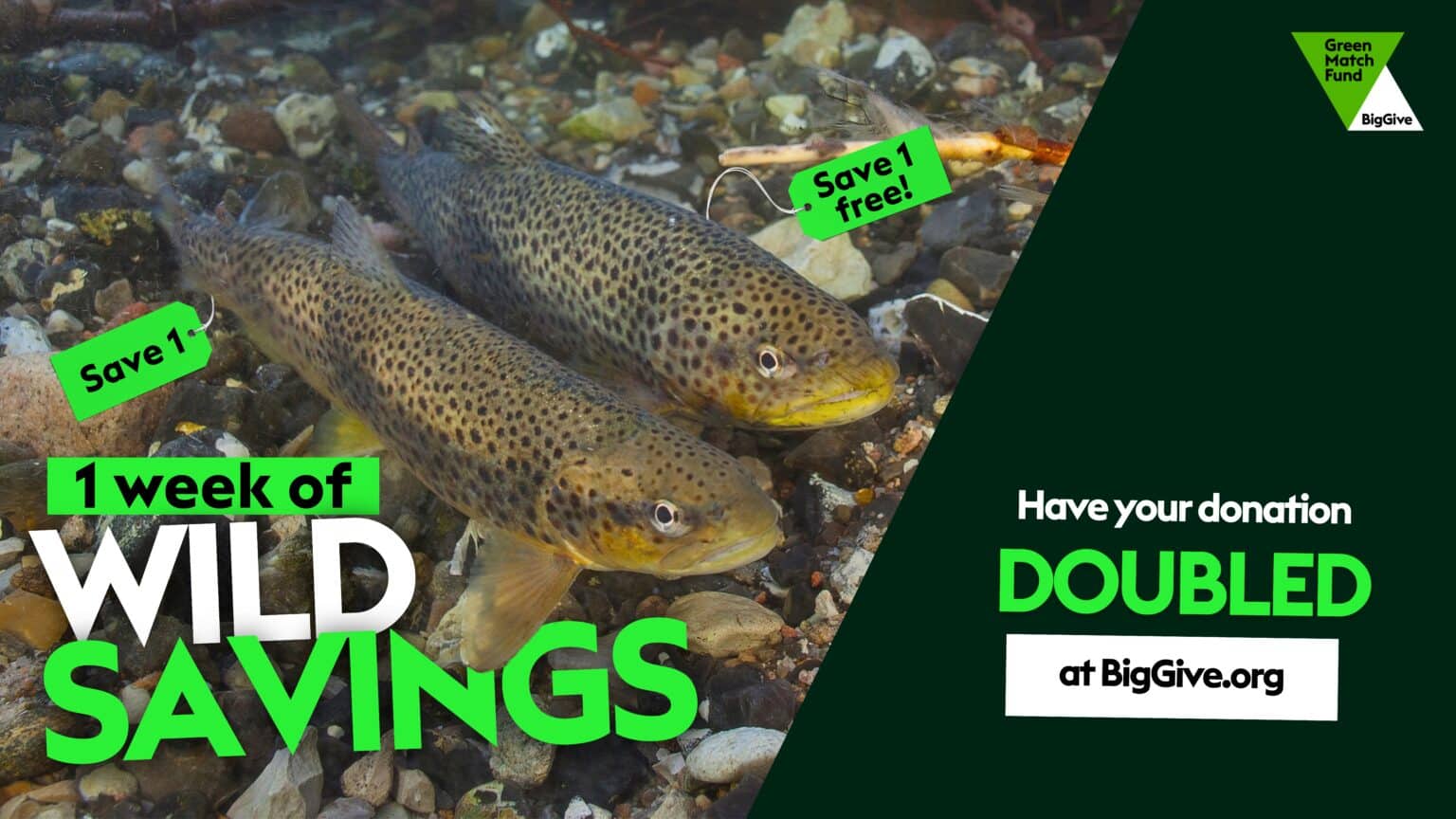 Ribble Rivers Trust - Working Together to Improve Our Rivers