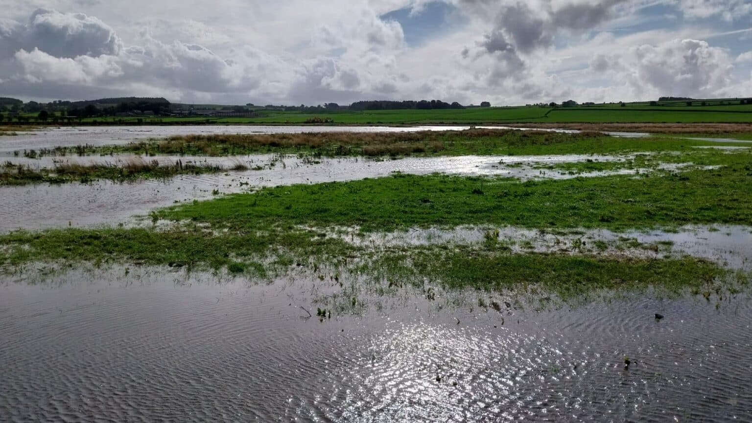Wigglesworth Hall Floodplain Reconnection - Ribble Rivers Trust