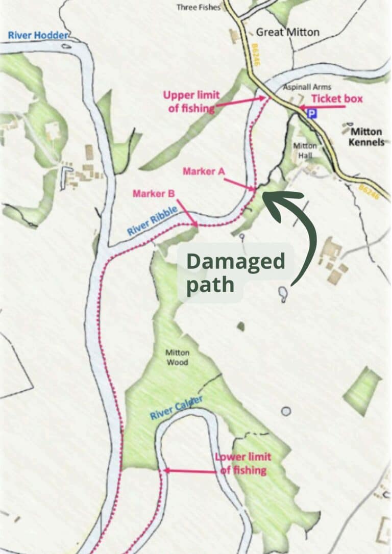 Fishing the River Ribble and it's waters - Ribble Rivers Trust