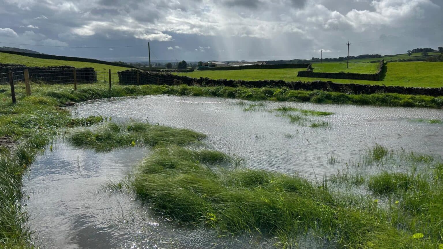 Ribble Rivers Trust - Working Together to Improve Our Rivers